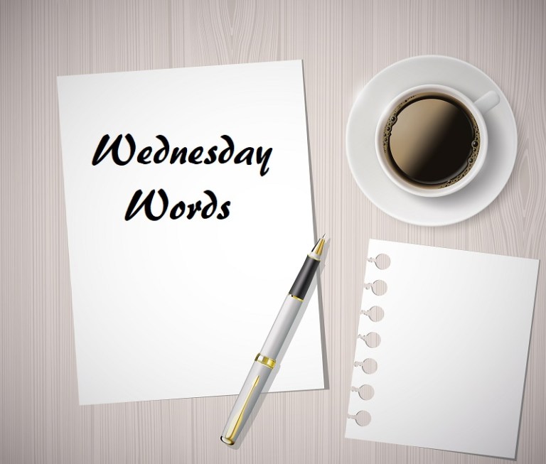 Wednesday Words: Goodbye Girl | Silver James